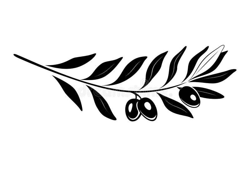 Olive Branch with Black Olives and Leaves. Stock Vector - Illustration ... Olive Branch with Black Olives and Leaves. Stock Vector - Illustration ...