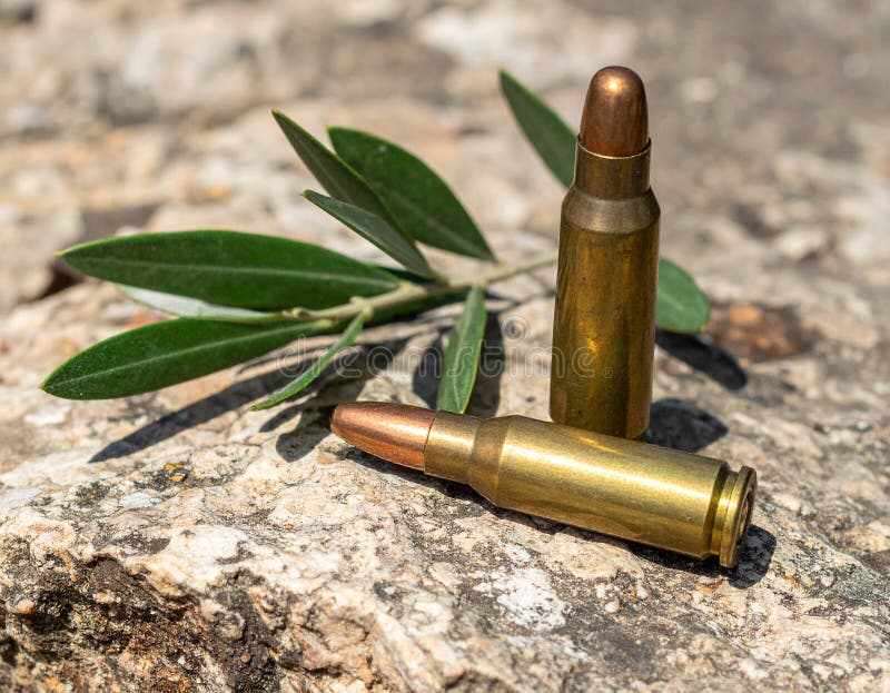 An Olive Branch and a Bullet Laying Side by Side on Rough Stone Stock ...