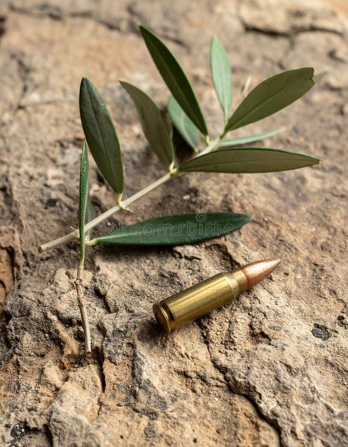 An Olive Branch and a Bullet Laying Side by Side on Rough Stone Stock ...