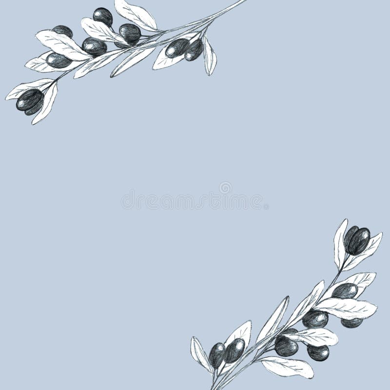 Olive Branch Frame on Blue Background Stock Illustration - Illustration ...