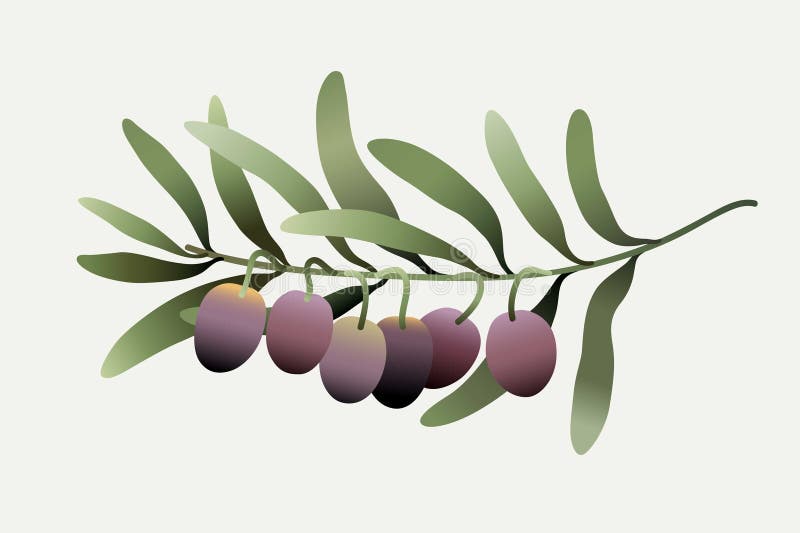 Olive Branch Gradient Digital Hand Drawn Illustration. Modern Trendy Minimalistic Isolated ...