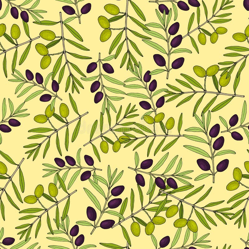 Olive Branch Seamless Pattern Stock Vector - Illustration of olive ...