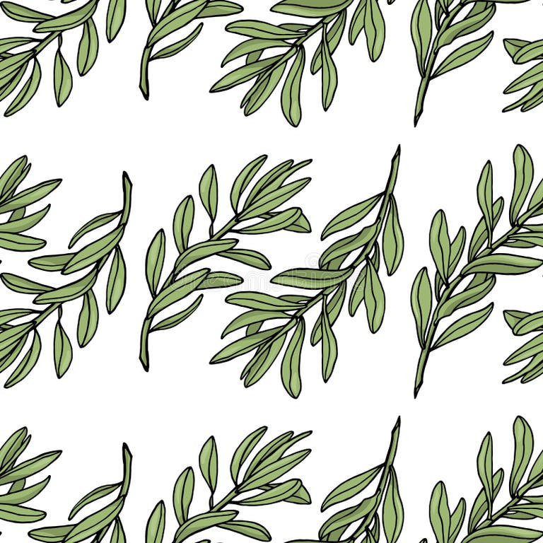 Olive Branch Simple Vector Stock Illustrations – 5,026 Olive Branch ...
