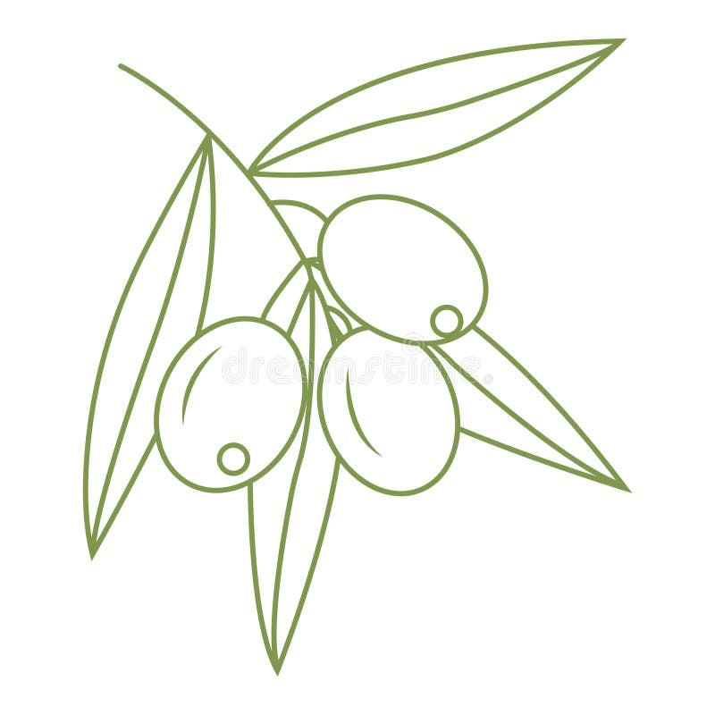 Olive Branch. Simple Icon in Doodle Style for Your Design Stock Vector ...