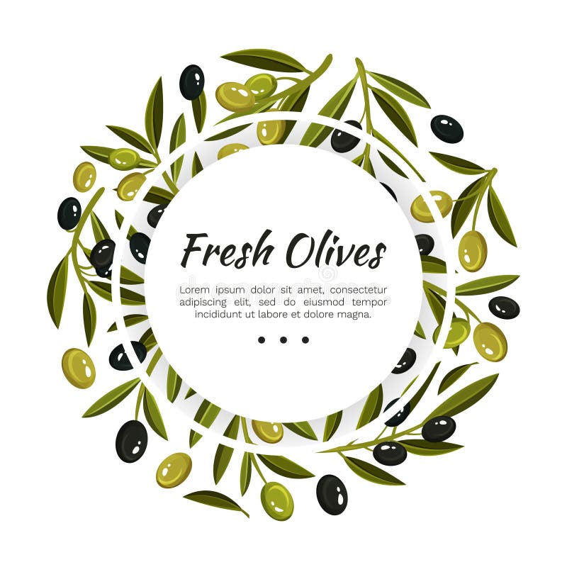 Olive Branches Banner Design with Green and Black Fruit Vector Template ...