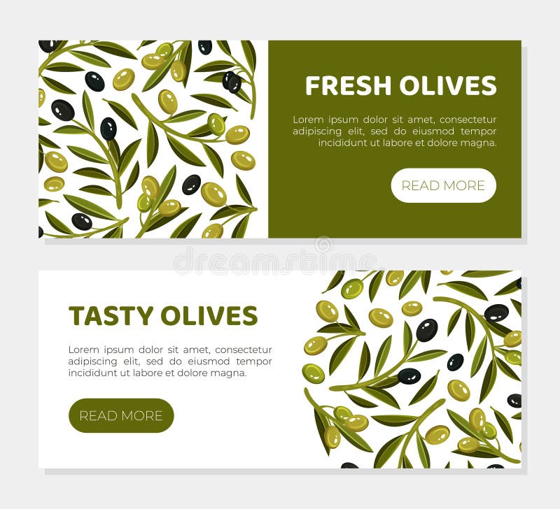 Olive Branches Banner Design with Green and Black Fruit Vector Template ...