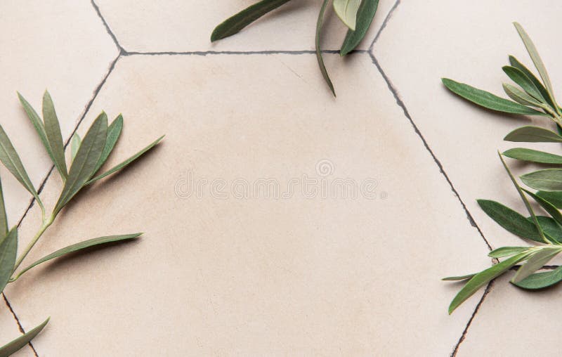 Olive Branches Framing Hexagonal Tiles Background, Rustic Elegance ...