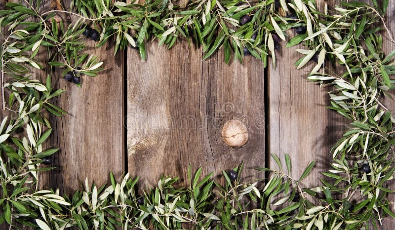 Olive Branches Rustic Wood Background Stock Photo - Image of frame ...