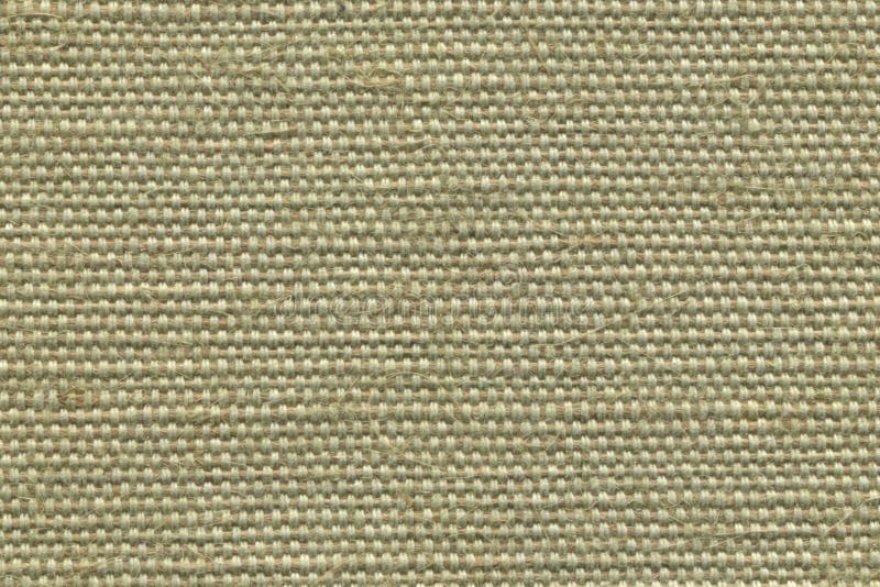 Olive Cotton Canvas. Texture. High Resolution Stock Photo - Image of ...