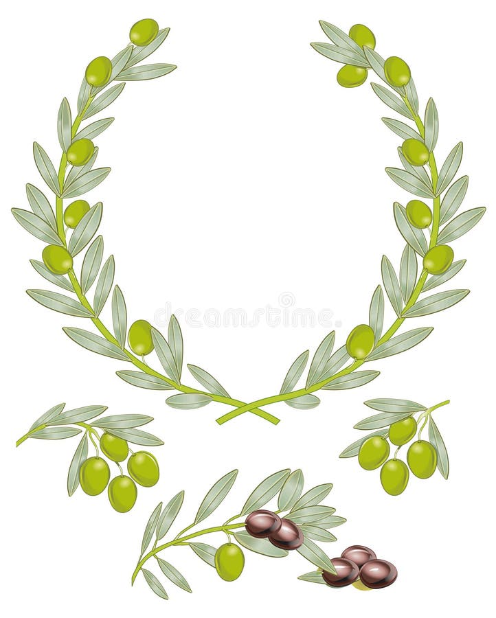 Olive crown stock vector. Illustration of flora, icon - 21432122