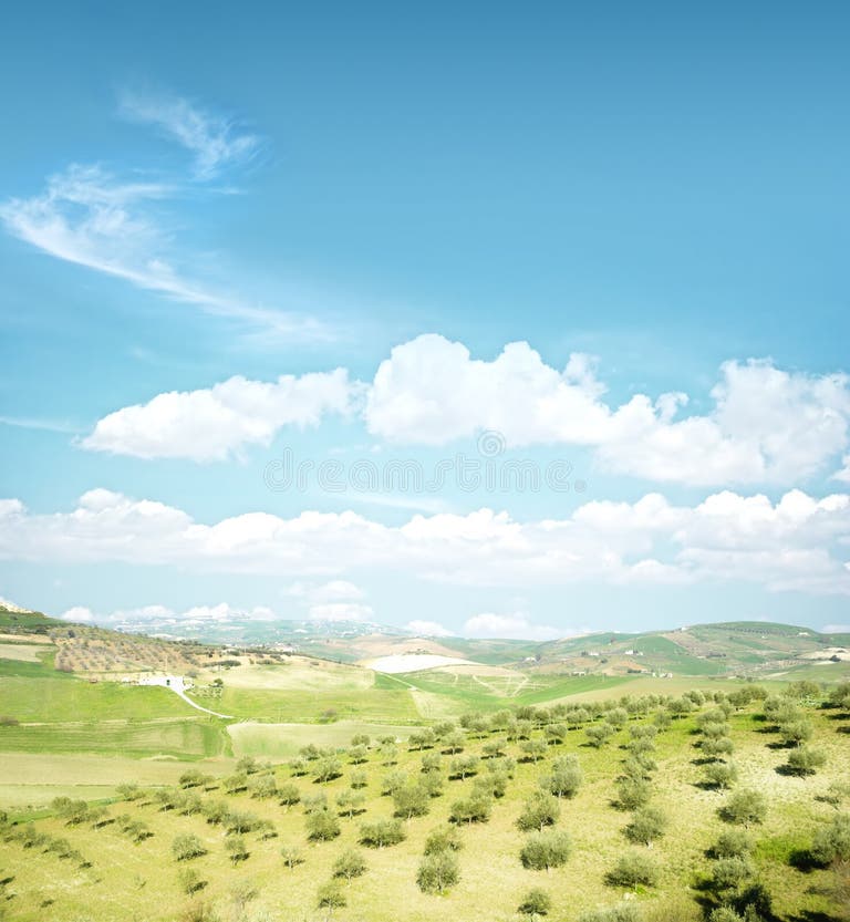 1,977 Olive Green Plain Stock Photos - Free & Royalty-Free Stock Photos ...