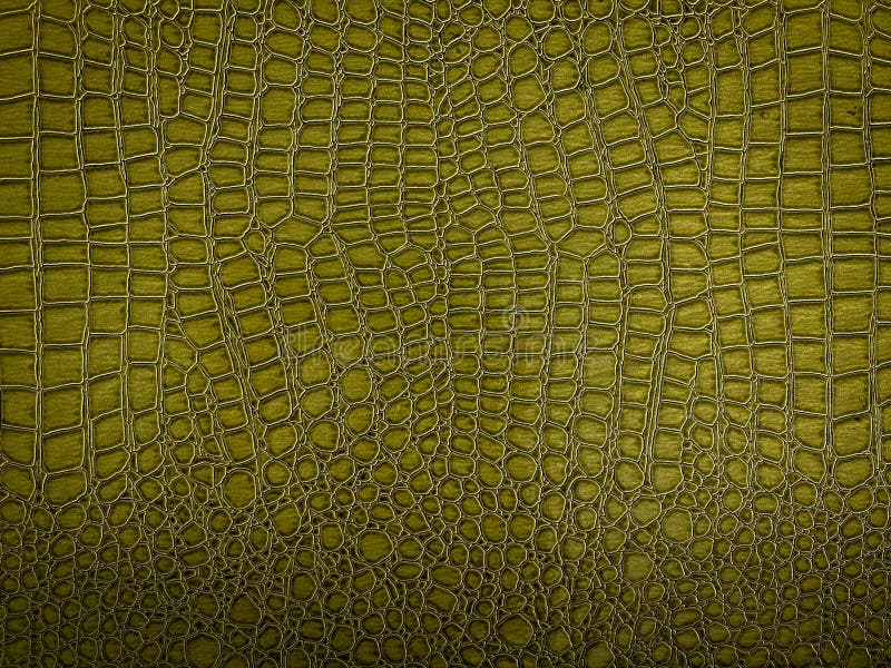 Green Snakeskin stock image. Image of textile, texture - 17820315