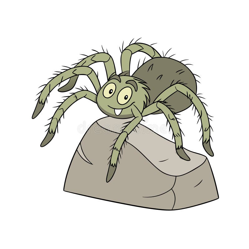 Olive Green Tarantula Cartoon Character Design Stock Vector ...