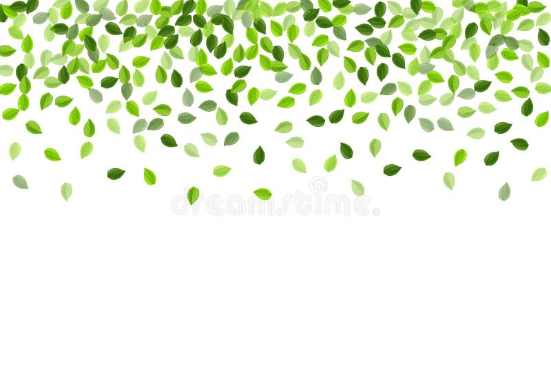Olive Greens Falling Vector Branch. Spring Leaf Stock Vector ...