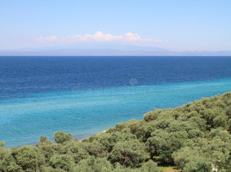 Olive groove by the sea stock photo. Image of mediterranean - 32209326