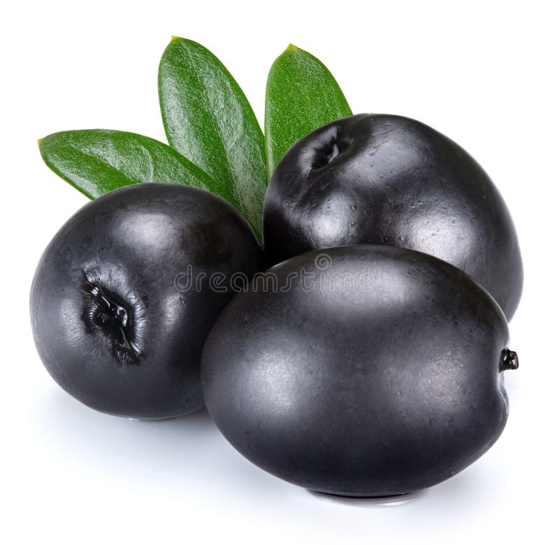 Olive isolated on white stock image. Image of organic - 127195433