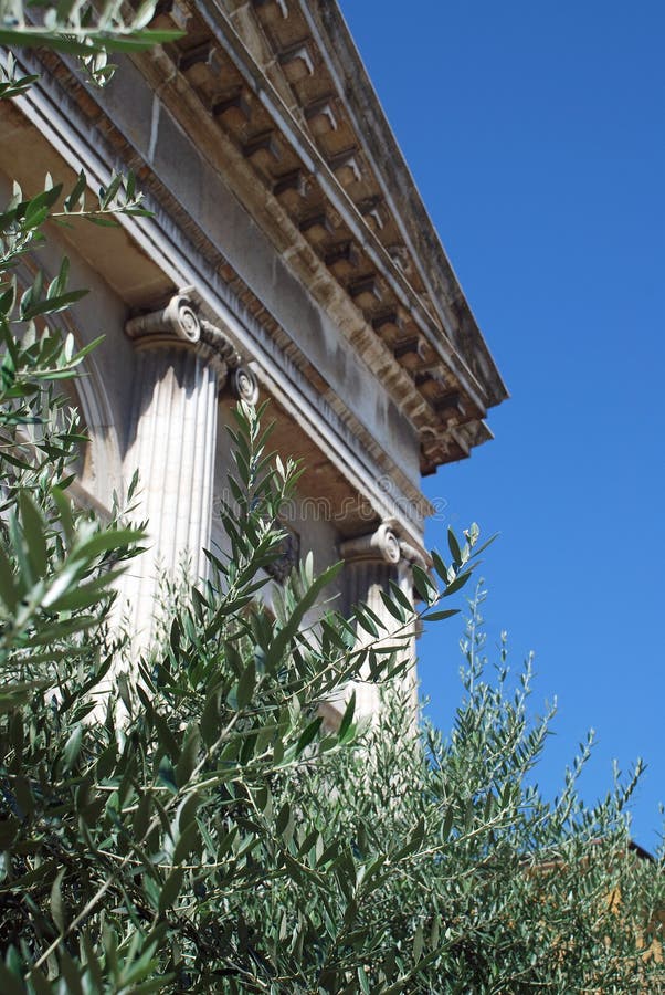 Olive Leaves in Front of Greek Temple Stock Photo - Image of leaf ...