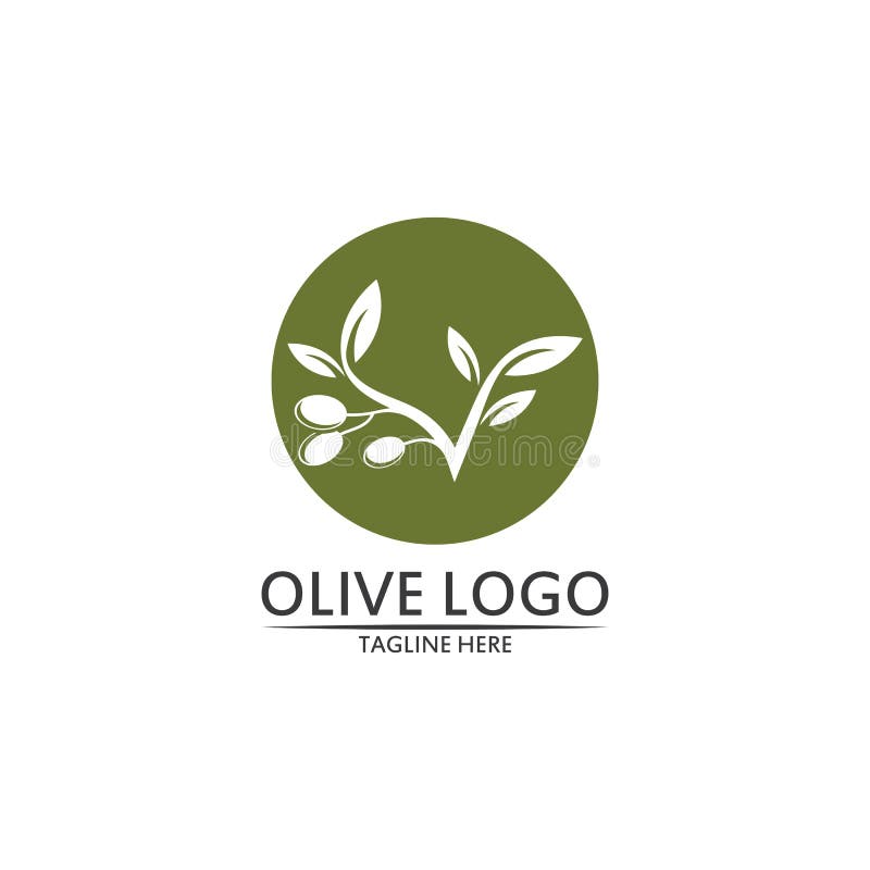 Olive Logo Template Vector Design. Stock Vector - Illustration of green ...