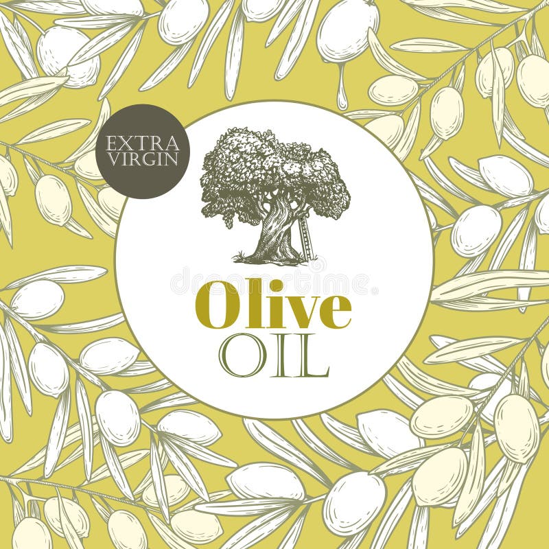 Olive Oil Banner Design Template. Sketch Style Olive Branches and Extra ...