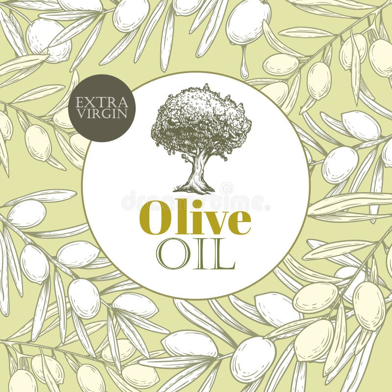 Olive Oil Banner Design Template. Sketch Style Olive Branches and Extra ...