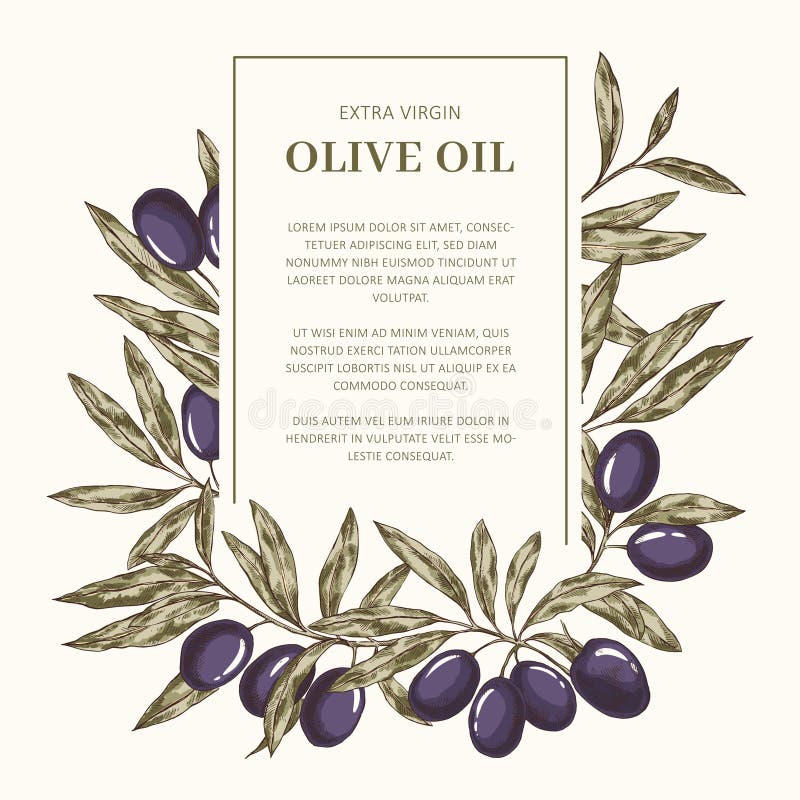 Olive Oil Label template stock vector. Illustration of decoration ...