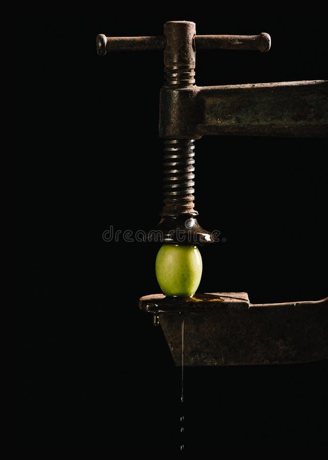 Olive Oil Mill Factory for Extracting Extra Virgin Olive Oil Stock ...