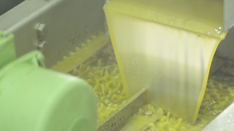 Olive Oil in Process of Production in a Oil Mill Stock Footage - Video ...