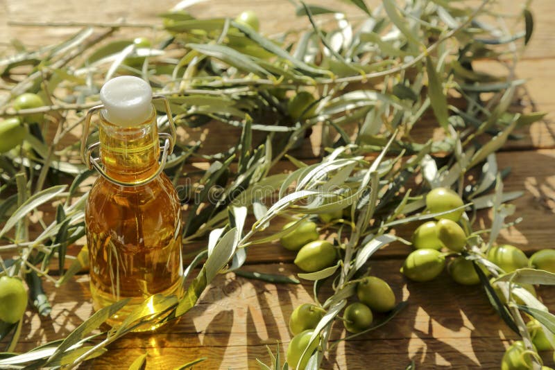 Olive Oil with Olive Tree Branches Stock Image - Image of olives ...