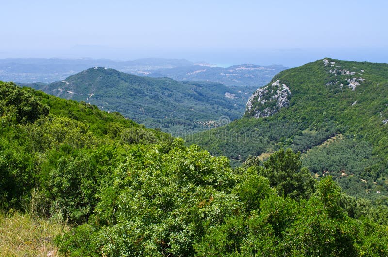 Olive Orchards in the Hills - Corfu, Greece Stock Image - Image of ...