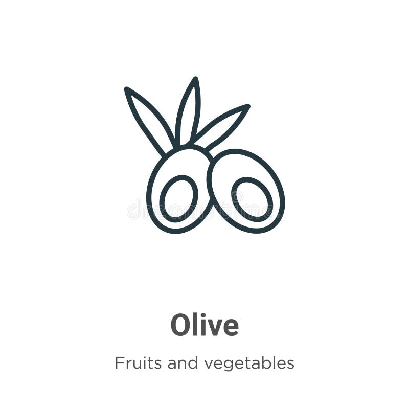 Olive outline stock vector. Illustration of leaves, white - 31741943