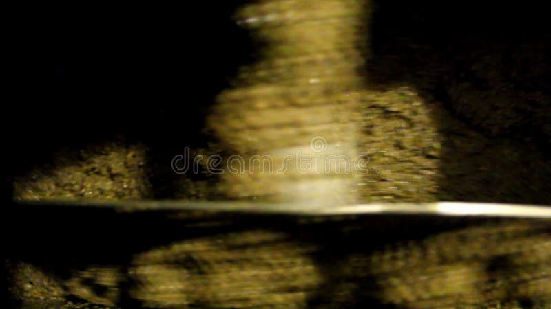 Olive Paste in Malaxation Tank during Extra Virgin Olive Oil Extraction ...