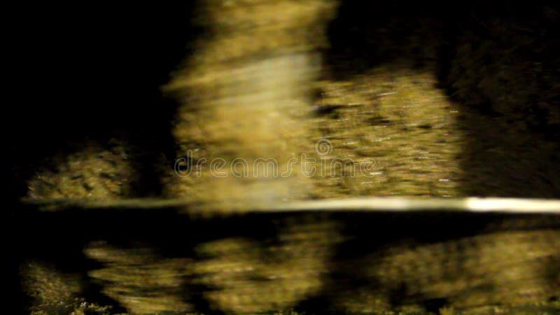 Olive Paste in Malaxation Tank during Extra Virgin Olive Oil Extraction ...