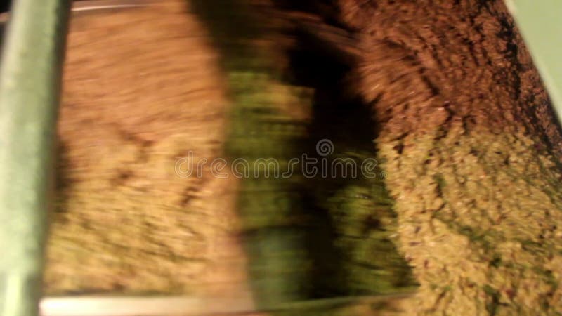 Olive Paste in Malaxation Tank during Extra Virgin Olive Oil Extraction ...