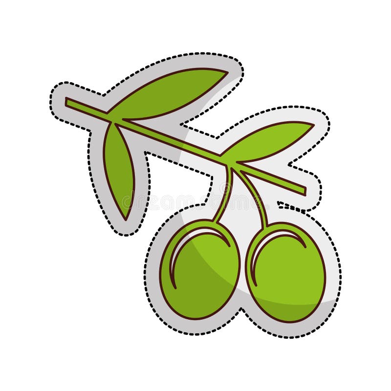 Olive plant isolated icon stock illustration. Illustration of ...