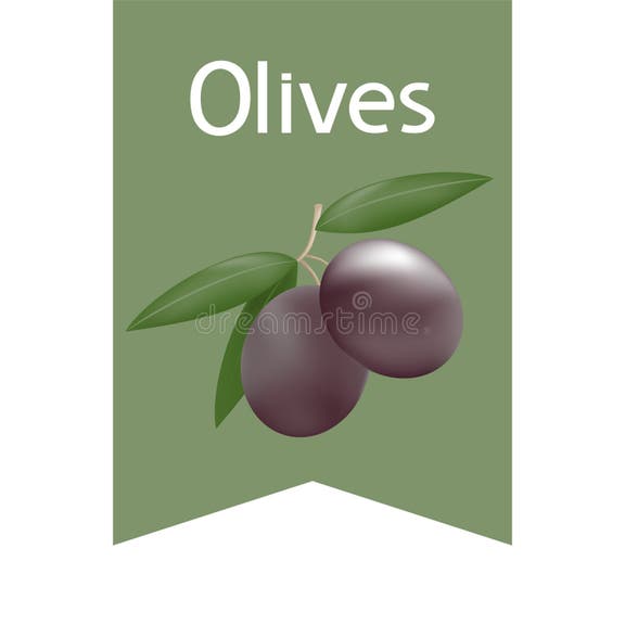 Olive ribbon design stock vector. Illustration of label - 292578978
