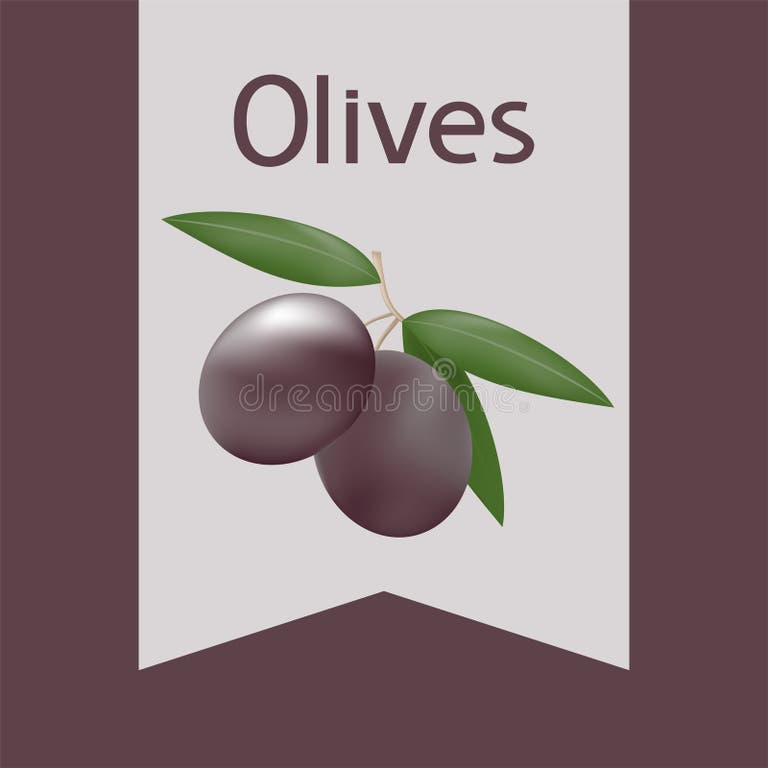 Olive ribbon design stock vector. Illustration of frame - 337830870