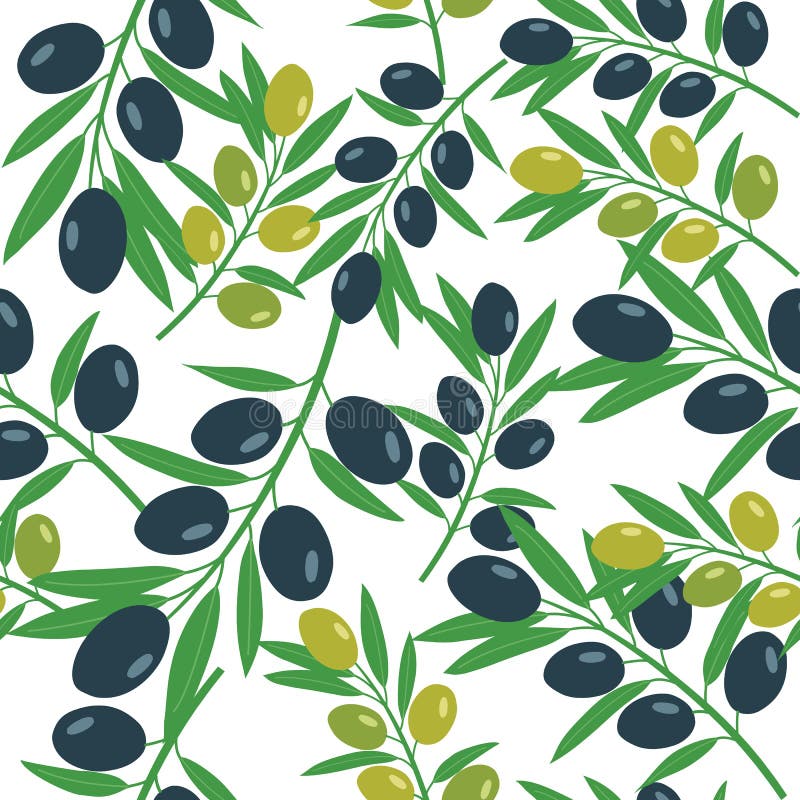 Olive Seamless Pattern stock vector. Illustration of harvest - 33513975
