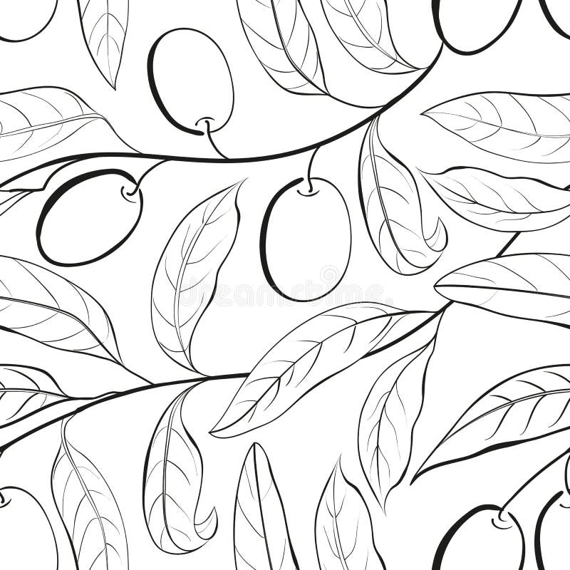 Seamless olive. stock illustration. Illustration of green - 44348754