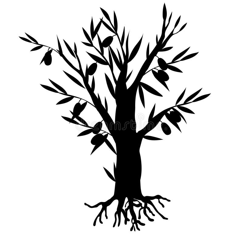 Olive Tree Black Silhouette Flat Vector Illustration Isolated on White ...