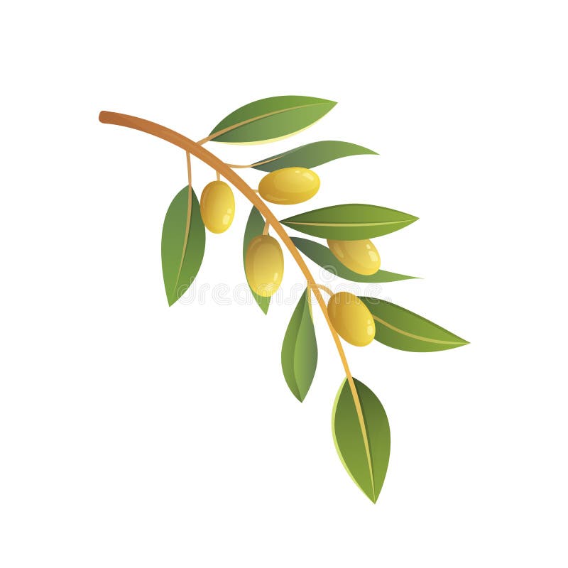 Cartoon Olive Tree Stock Illustrations – 1,937 Cartoon Olive Tree Stock ...