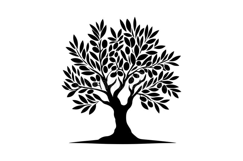 Olive Tree Branches and Leaves Isolated Silhouette Stock Illustration ...