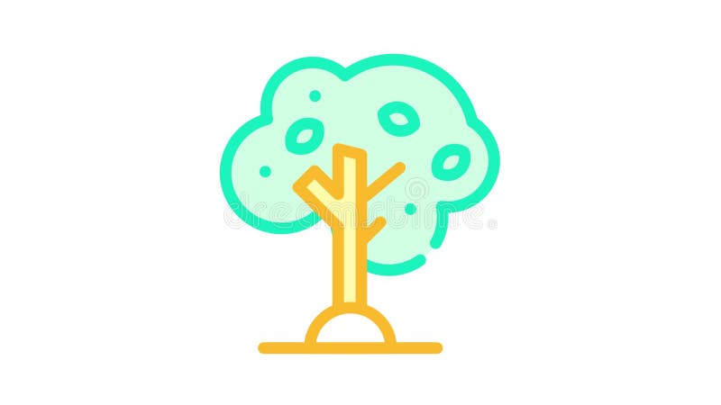 Olive Tree in a White Pot on a White Background. Close-up of a Young ...