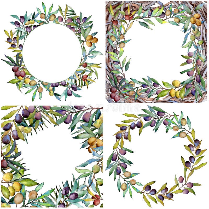 Olive Tree Frame in a Watercolor Style. Stock Illustration ...