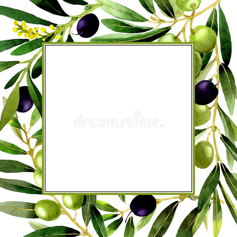 Olive Tree Frame in a Watercolor Style Isolated. Stock Illustration ...
