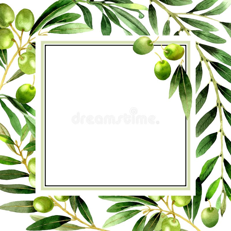 Olive Tree Frame in a Watercolor Style Isolated. Stock Illustration ...