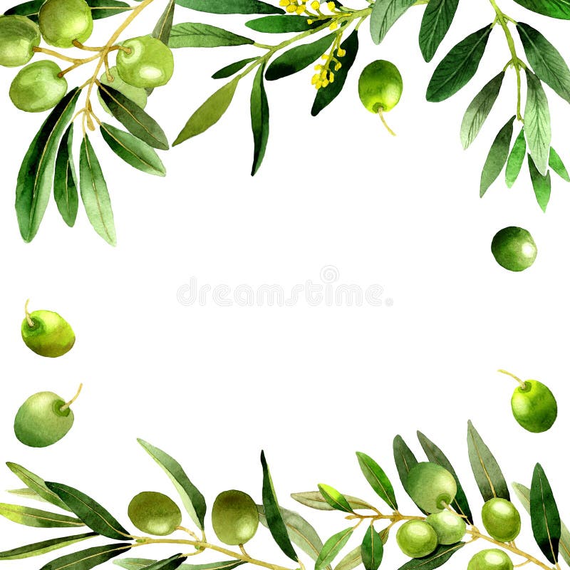 Olive Tree Frame in a Watercolor Style Isolated. Stock Illustration ...