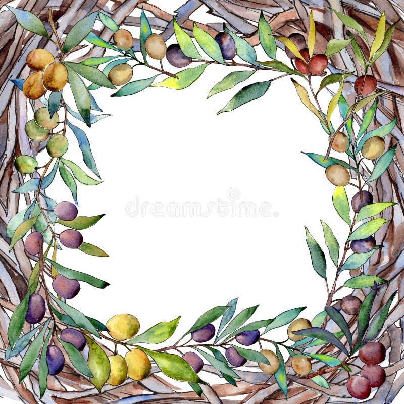 Olive Tree Frame in a Watercolor Style. Stock Illustration ...