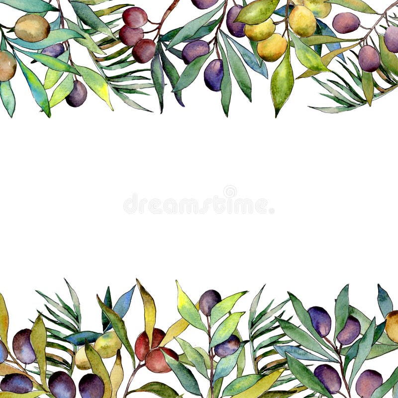 Olive Tree Frame in a Watercolor Style. Stock Illustration ...