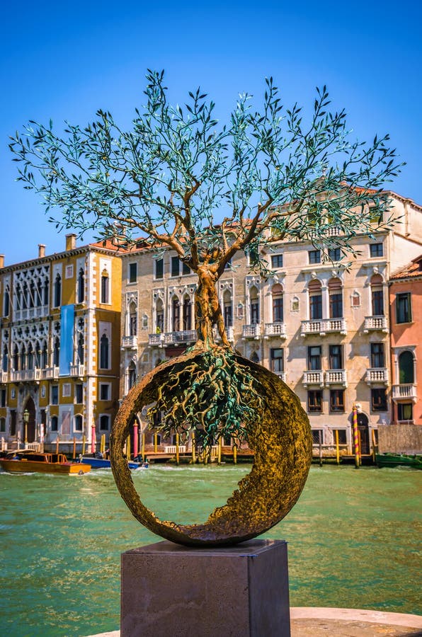 Olive Tree Installation on Venice Street, Italy Editorial Photography ...
