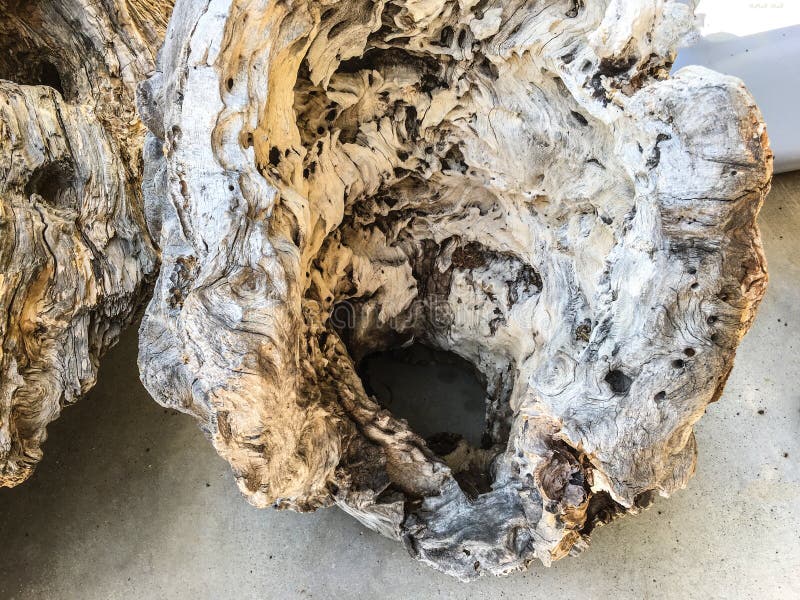 Olive-tree natural texture stock photo. Image of rough - 111843524